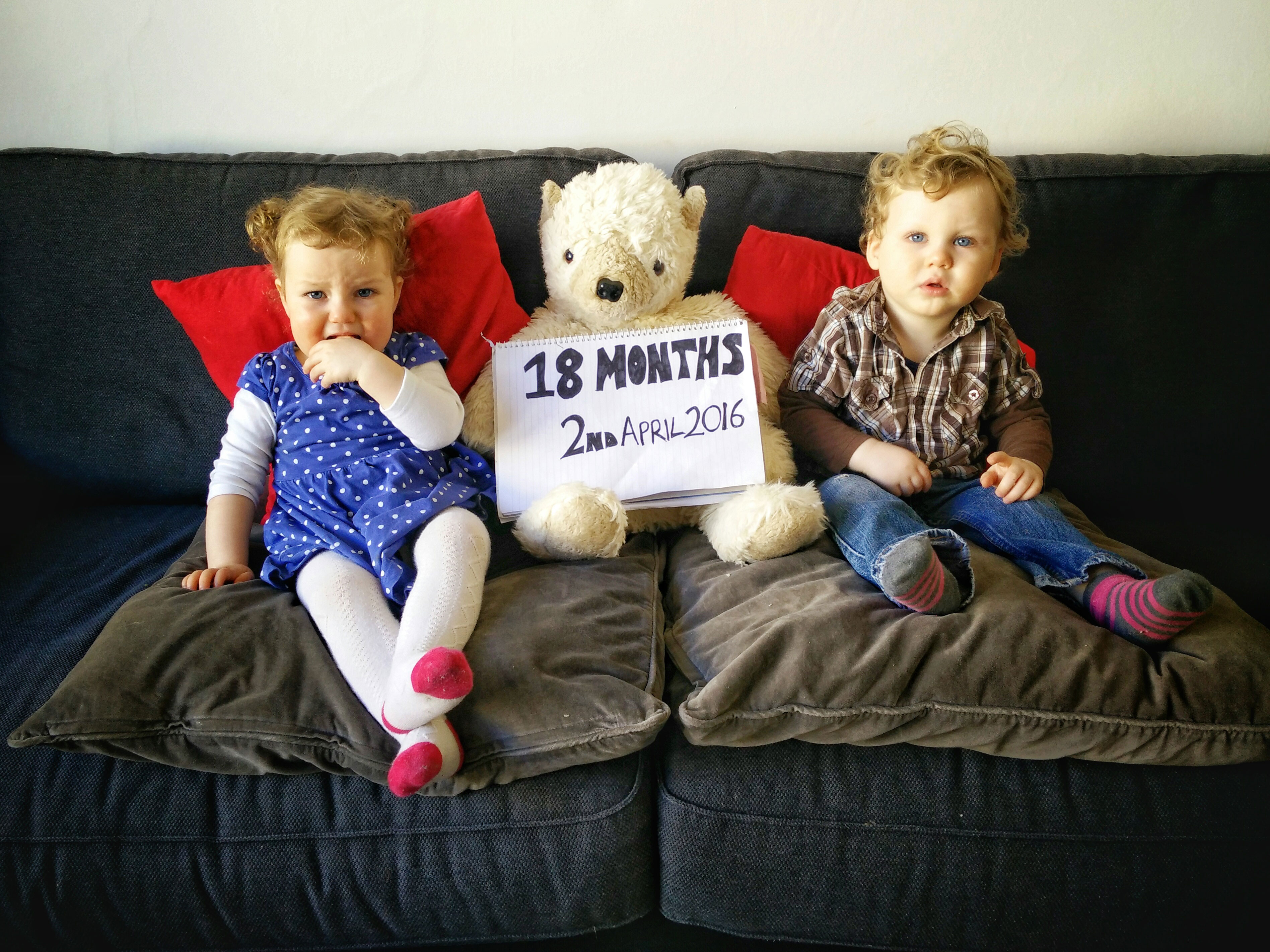 Mark Robinson | 18 Months
